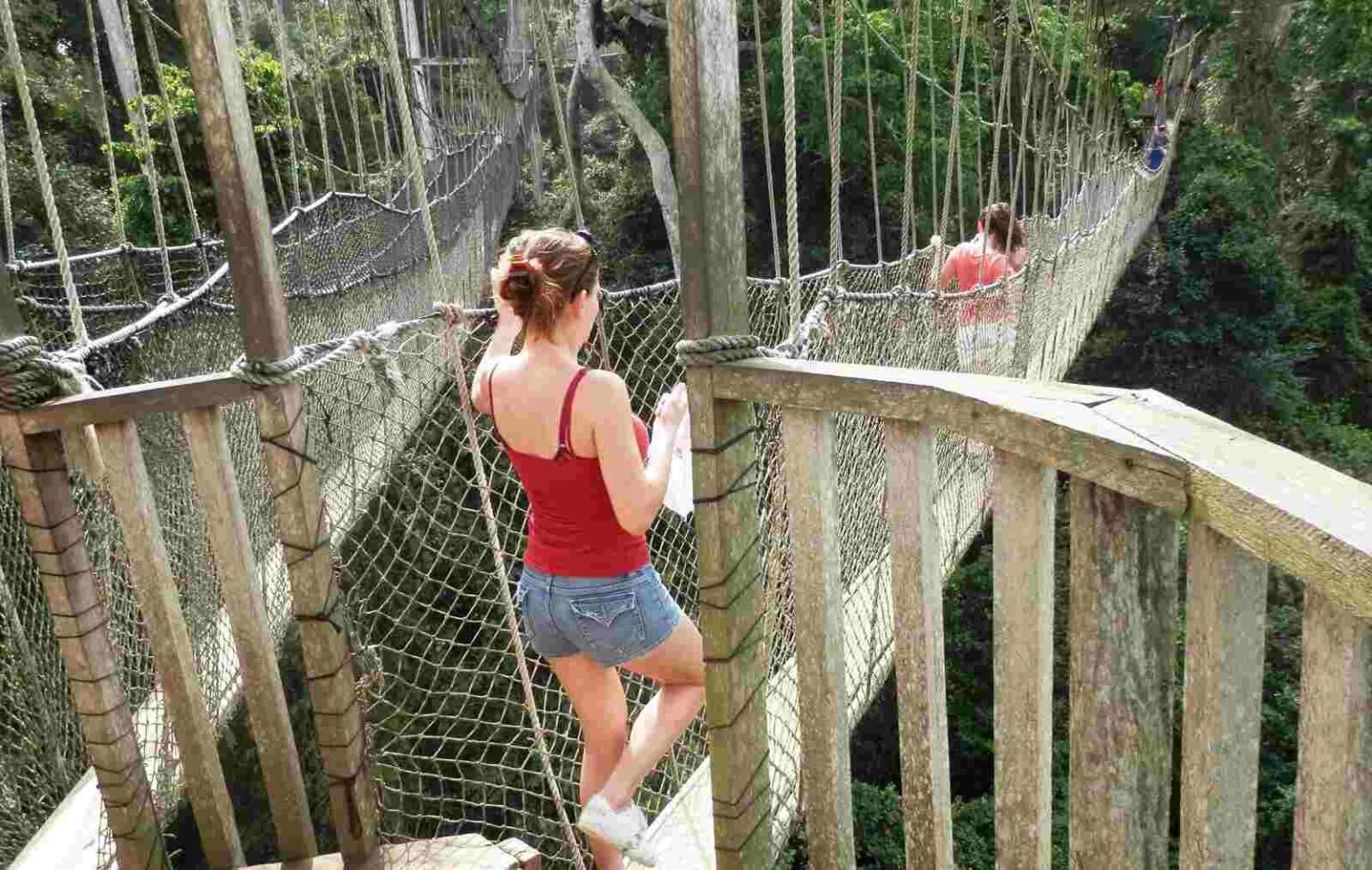 Discover the Best Things to Do in Ghana on Your Next Trip! - Vacation Ghana